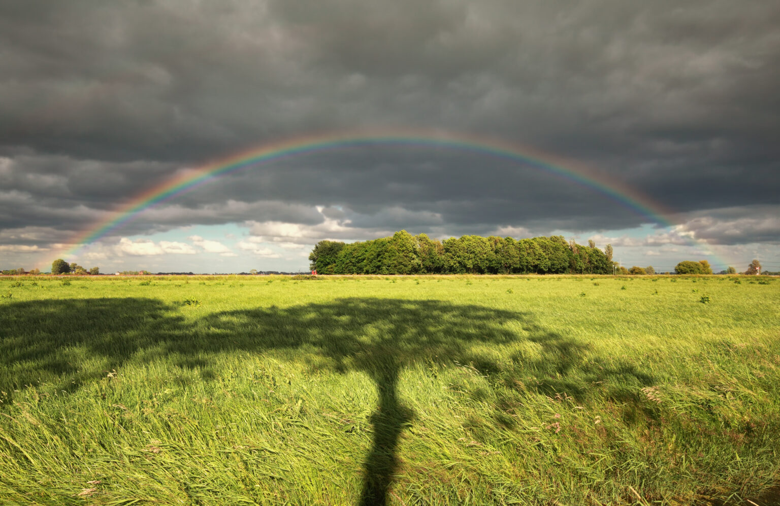 Understanding and Navigating Non-Death Grief – SafeWaters