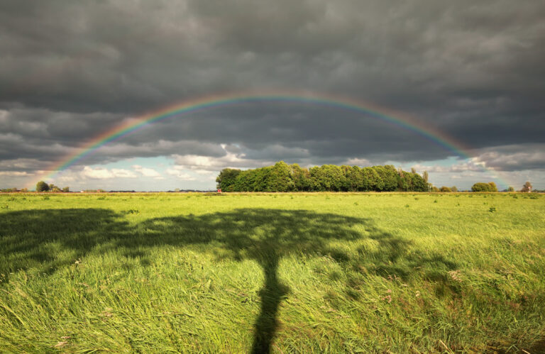 Understanding and Navigating Non-Death Grief – SafeWaters